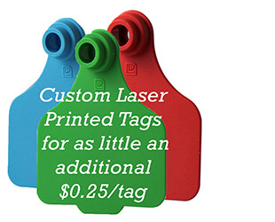 Rocking Horse Industries